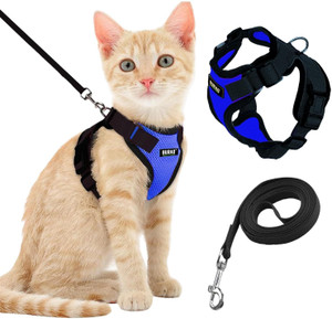 Buraq Cat Standard Harness Price in India - Buy Buraq Cat Standard ...