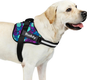 TRUE DAWG Dog Harness for Medium Breed Dogs (Recommended for 14-23Kg ...