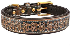 Sparrow Daughter Leather Beaded Dog Collar | Neck Belt for All Breeds ...
