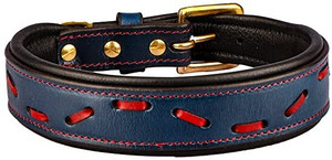 Sparrow Daughter Dog Everyday Collar Price in India - Buy Sparrow ...