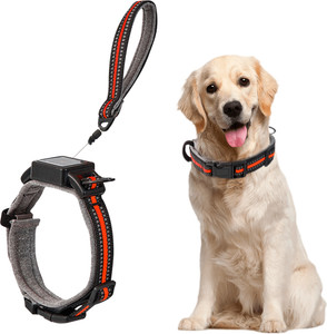 gustave Adjustable Dog Collar with Retractable Leash Reflective Strip ...