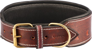 Sparrow Daughter Dog Everyday Collar Price in India - Buy Sparrow ...