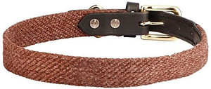 Sparrow Daughter Dog Everyday Collar Price in India - Buy Sparrow ...