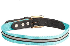 Sparrow Daughter Nylon Ref Leather Reflective Dog Collar Neck Belt for ...
