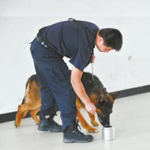 BNF Dog Scent Training Box Training Scent Jar For Labrador Police Dogs ...