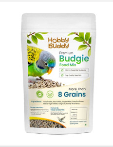 hobbybuddy Hobby Buddy Premium Budgie food mix 450gm Nuts 0.95 kg Dry ...