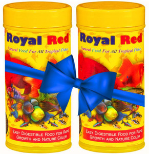 STAR FARMS Royal Red Natural Feed, 40%Protein, Easy Digestion, All Fish ...