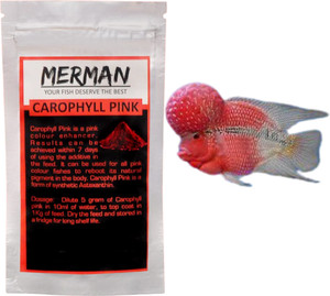 PREMIER PLANTS Colour Enhancer Feed Merman Carophyll red Fish 0.8 kg ...
