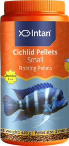 INTAN Cichlid Pellets, Small Floating Pellets for Fish, Jumbo Pack ...