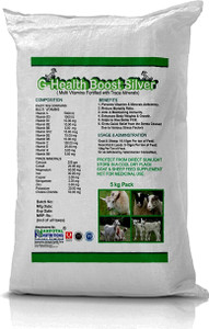 ANFOTAL NUTRITIONS G-Health Boost Silver Multivitamins & Mineral ...