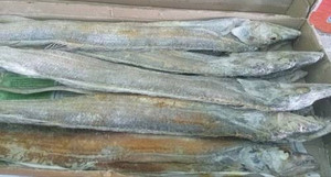 Aathesh dry fish & enterprise Vala karuvadu Fish 0.25 kg (4x0.06 kg ...