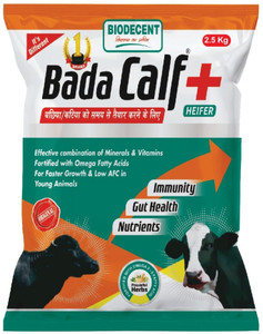 Bada calf Calf immunity booster & healthy calf, Strong Calf, Calf to ...