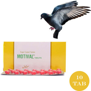 Potensy Motival Tablets For Pigeon 10 tablets Pet Health Supplements ...