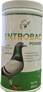 bhopal pigeons Entrobac Powder, Probiotic Feed Supplement for Pigeons ...