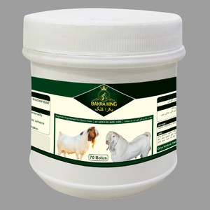 ANFOTAL NUTRITIONS Bakra King Growth Promoter and Increases Milk ...