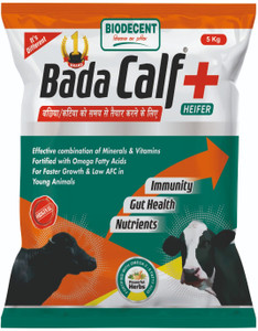 Bada calf BADACALF The Super Milk | Nutrient-Rich Milk Supplement for ...
