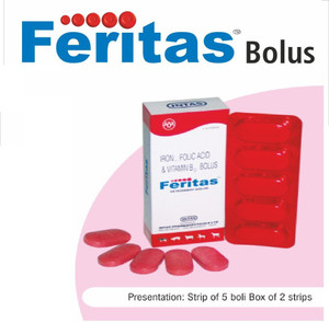 INTAS Feritas Bolus Nutrition Pet Health Supplements Price in India ...