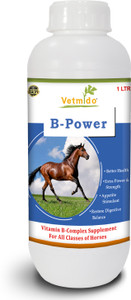 VETMIDO B-Power - Vitamin B Complex Supplement For All Classes of ...