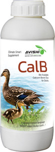 Avishi Duck CalB (Calcium-Boron) Pet Health Supplements Price in India ...