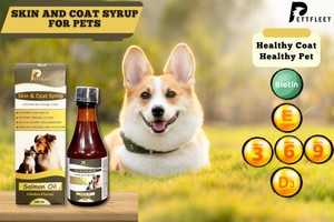 PETTFLEET Skin & Coat Syrup, Omega 3,6 & 9, Biotin Rich Skin Syrup for ...