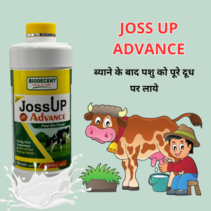 Bada calf Joss Up Advance Increase Milk & Milk Booster Pet Health ...
