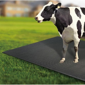 Ursus Animal Feeding Waterproof Rubber mat Cow, Dog, Hamster, Guinea ...