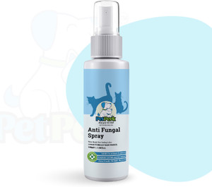 PET PERK Anti-Fungal Spray for Cats Pet First Aid Kit Price in India ...