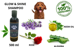 organica Whitening and Color Enhancing ROSE Dog Shampoo Price in India ...