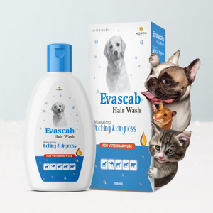 MORVIN Evascab Hair Wash shampoo 200ml Anti-microbial, Anti-fungal ...