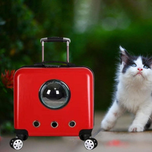 PSK PET MART Airline Pet Carrier (Suitable For Cat) Pet Stroller Price ...