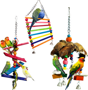 Addy ADDY BIRD TOY | Set of 3 | Cuttlebone | Bird Treat | Foraging ...