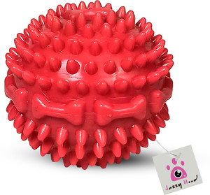 jazzyhood Playful Puppies Favorite Spike Dog ball : Fetch frenzy fun ...