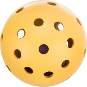 trixie Holey Ball, Especially Made for Visually Impaired and Blind Dogs ...