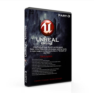 metaboxx Unreal Engine: Open World Landscapes - metaboxx : Flipkart.com