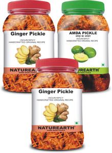 NaturEarth 100% Natural Ginger Pickle & Amda Pickle (600g) Primium ...