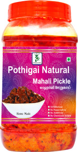 POTHIGAI NATURAL Mahali Pickle 250g / Pure Home Made Pickle / No ...