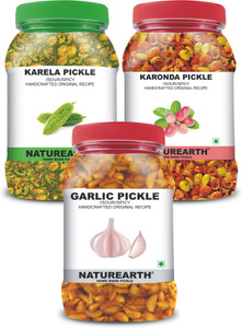 NaturEarth 100% Natural Garlic, Karela & Karonda Pickle(600 g) Primium ...