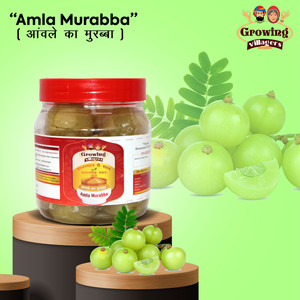 Growing Villagers Sweet Gooseberry Awla Homemade Traditional Organic ...