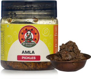 Grameen Chator Amla Pickle | Homemade Indian Gooseberry Pickle Seedless ...