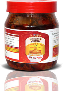 Growing Villagers Mixed Achar Home Made Rajasthani Mix Pickle Carrot ...