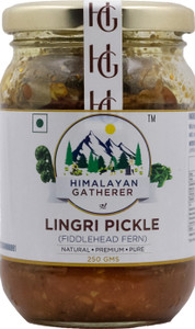 himalayan gatherer Lingri Pickle (fiddlehead fern) Mixed Pickle Price ...