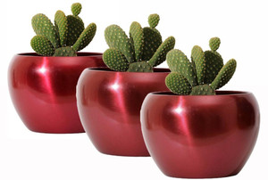 Gamla Haat Home Décor Vase| Flower Pot| Indoor Plant Vase for Tabletop ...