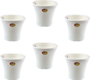 Rishta 10" Inch Podha Planters Gamla Made with High Quality Plastic ...