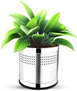 Mofna Stainless Steel Planter (10x10 Inch) – Indoor Flower Pot Plant ...
