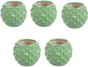 anudeepgrow Plant Container Set Price in India - Buy anudeepgrow Plant ...