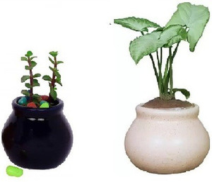 Jimkia Ceramic Planter Small Matka Shape for Home&Garden-Black&white ...