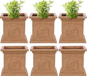 HOMESTIC by Kuber Industries Pack of 6 Plastic Tulsi Mancha Gamla ...