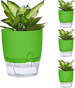 InHydro Wick Hydroponic system|Self Watering Pot|Plant Not Included ...