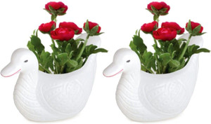 Varshney Gardening Duck Pot Plastic White Flower Pot | Indoor and ...