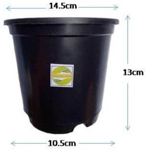 Natures Work Grow Cup 5" for seed or Plant Growing (Set of 10 Cups ...